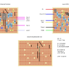 Building And Modding A Tube Screamer On A Breadboard - Crazy Chicken ...